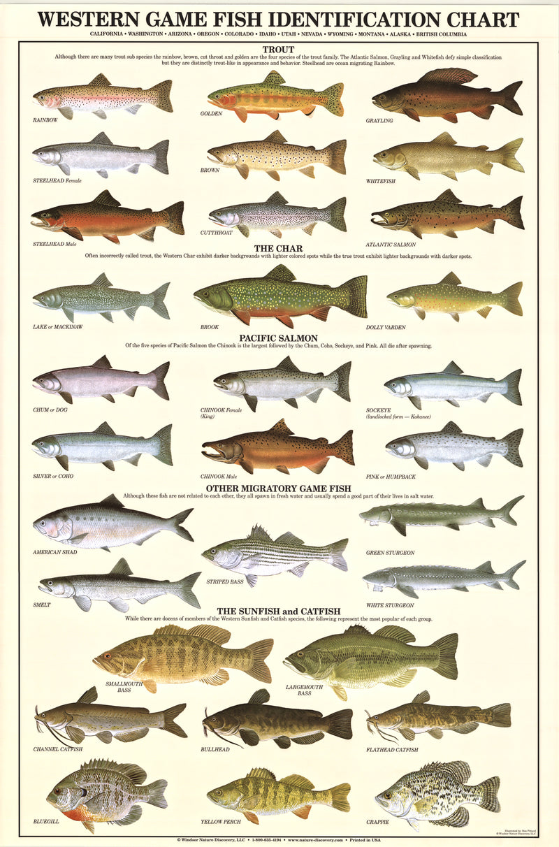 Colorado fish store