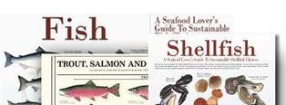 Sustainable Fish Guide – Charting Nature