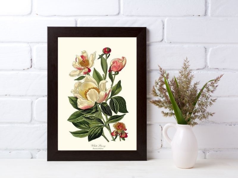 Vintage Flower Art Prints | Antique Floral Botanical Wall Art Decor ...