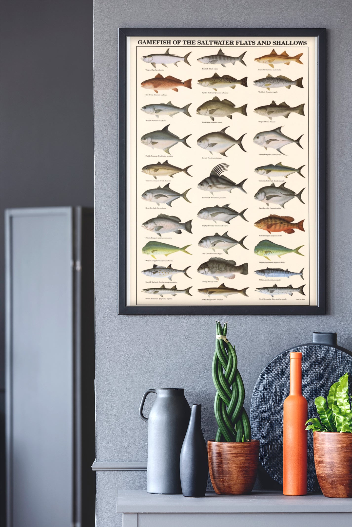 Saltwater Gamefish Identification Poster – 30 Saltwater Species Chart ...