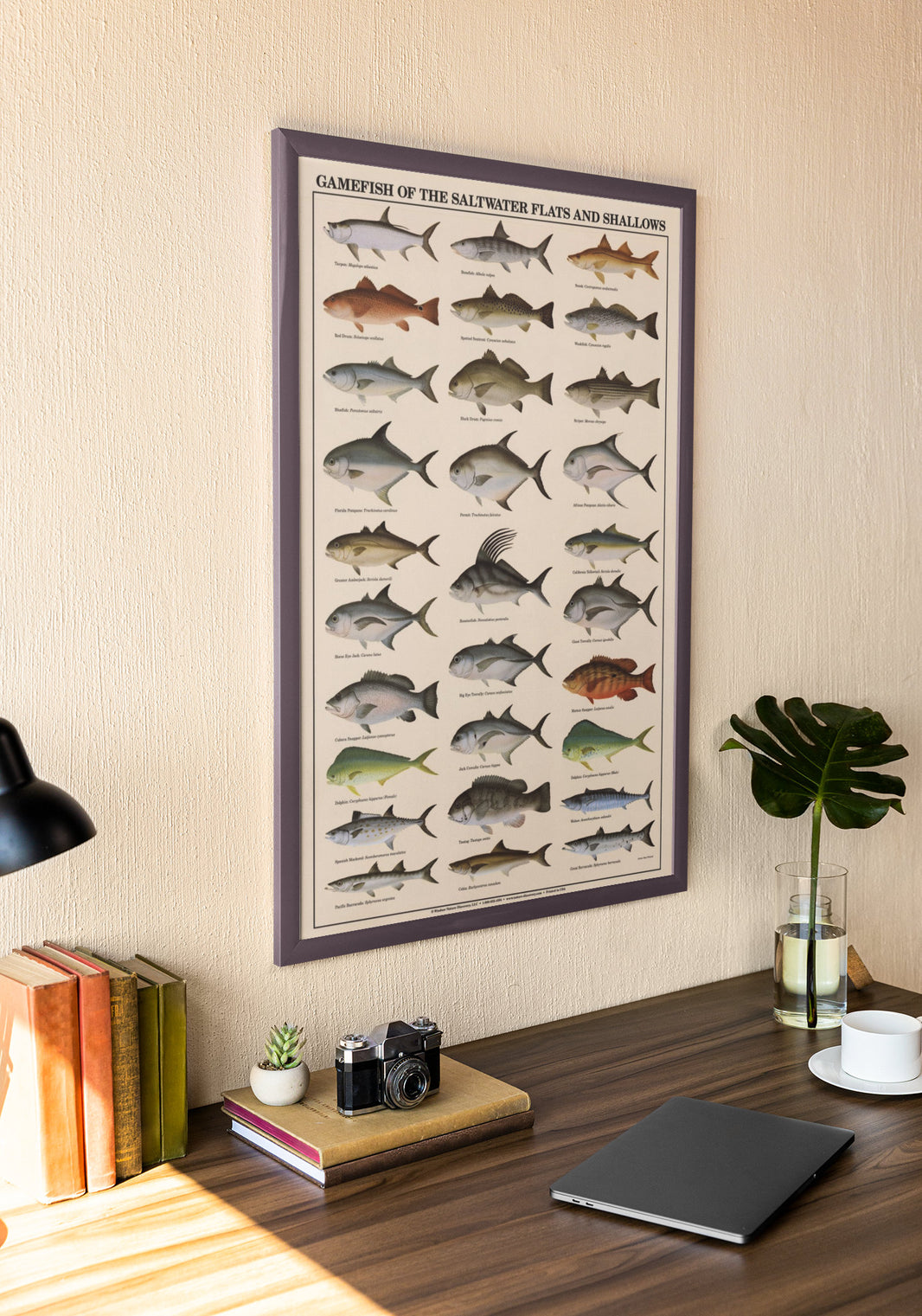 Fish Posters and Identification Charts | Freshwater Saltwater Guides ...
