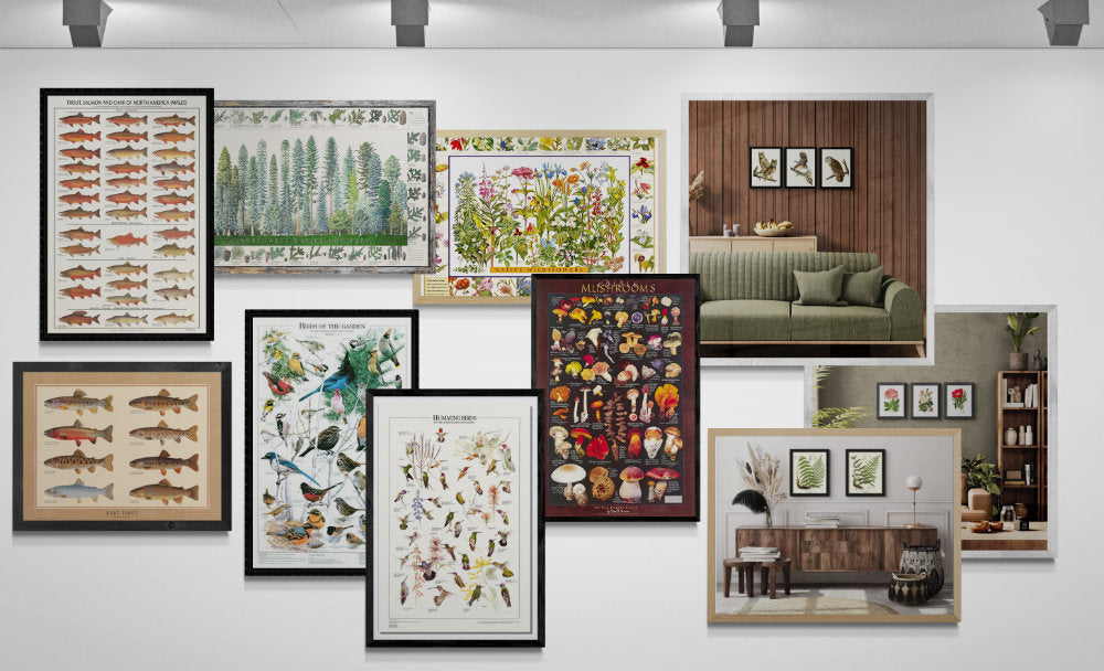 Fish, Bird, Botanical Wall Art | Posters & Prints – Charting Nature