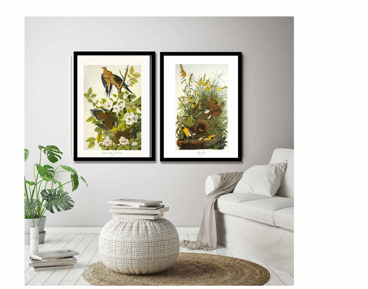 Fish, Bird and Botanical Posters, Prints and Wall Art For Sale ...
