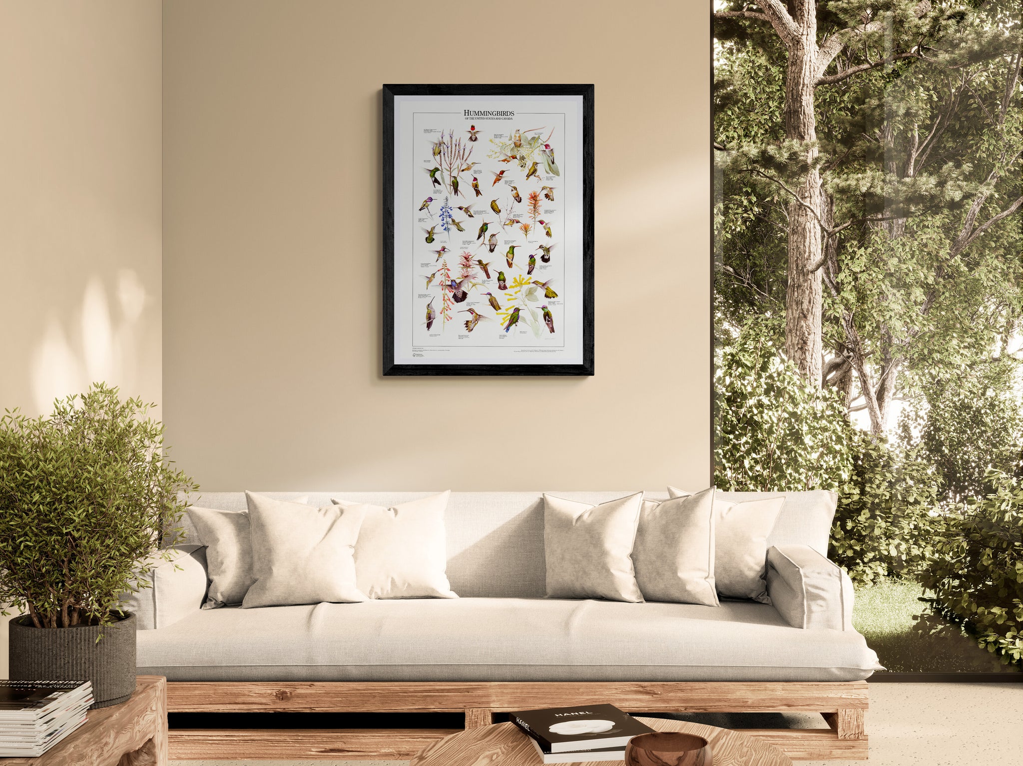 Hummingbird Wall Art Poster Print. US and Canadian Hummingbird ...