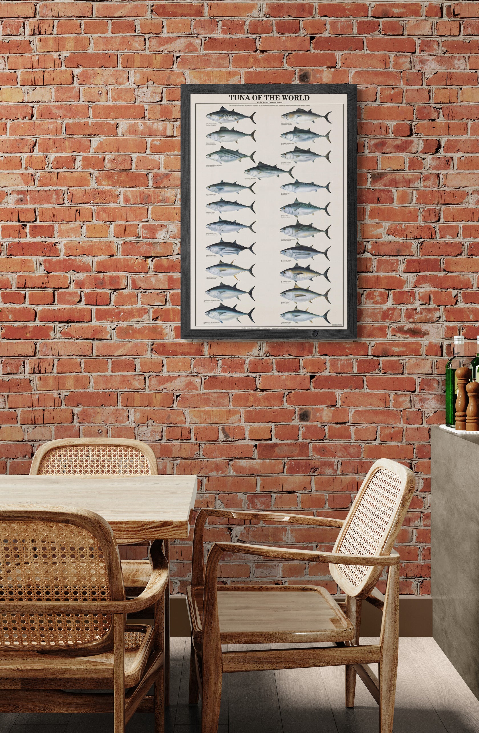 Tuna Identification Poster and Chart - Tuna of the World. Fish Wall Art ...