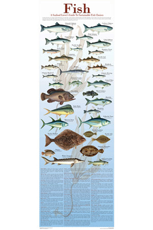 Seafood Poster and Guide Fish Species Identification Poster – Charting ...