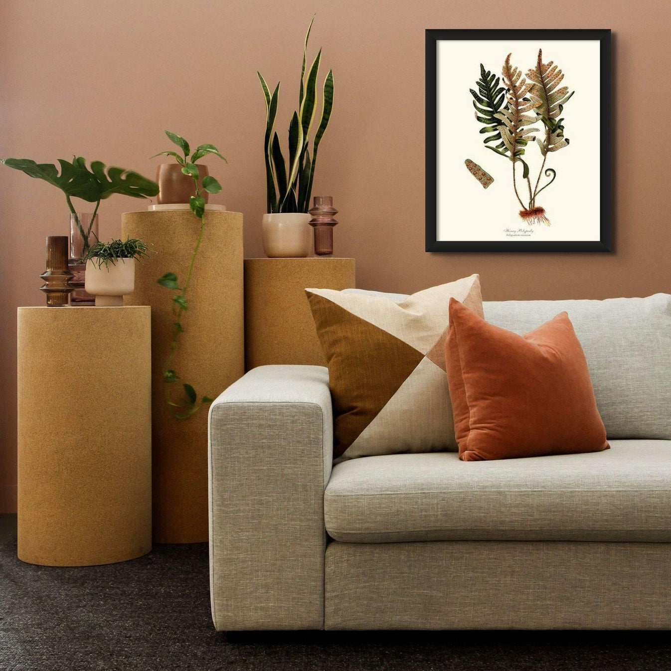 Hoary Polypody Fern: Vintage Fern Wall Art Botanical Prints. – Charting ...