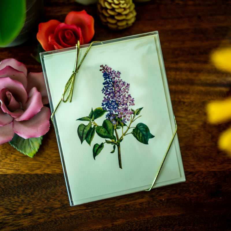 Classic Flower Notecards - Botanical print notecard set – Charting Nature