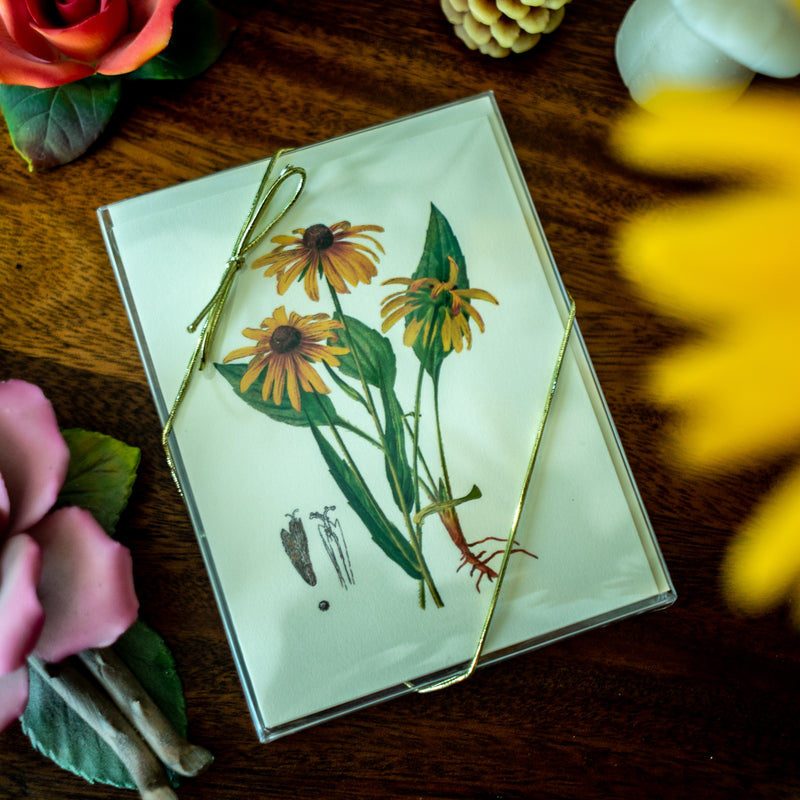 Yellow Wildflower Notecards - Botanical print notecard set – Charting ...
