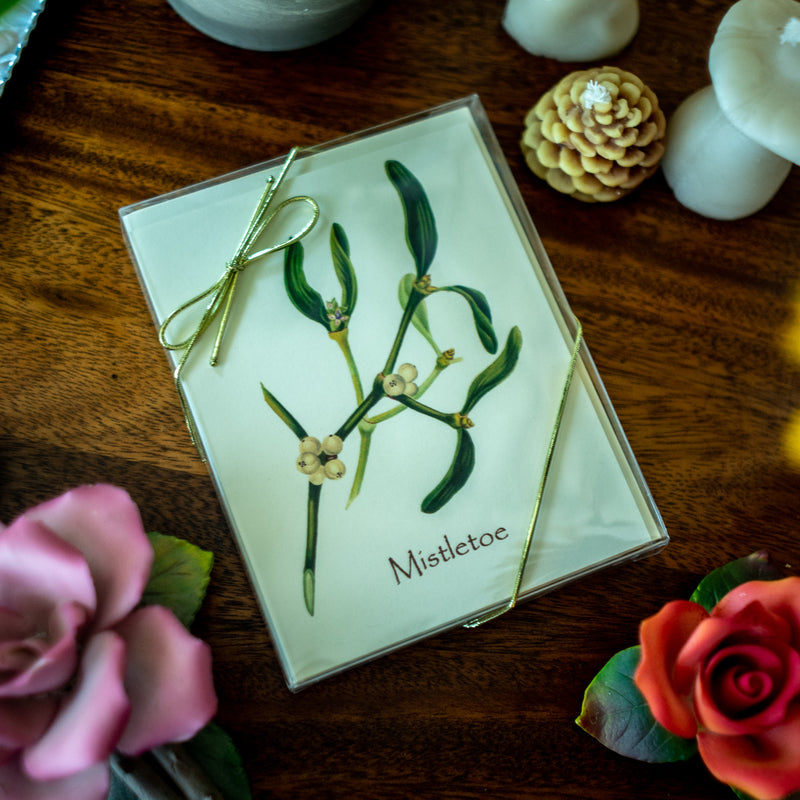 Holiday Tree Notecards - Botanical print notecard set – Charting Nature