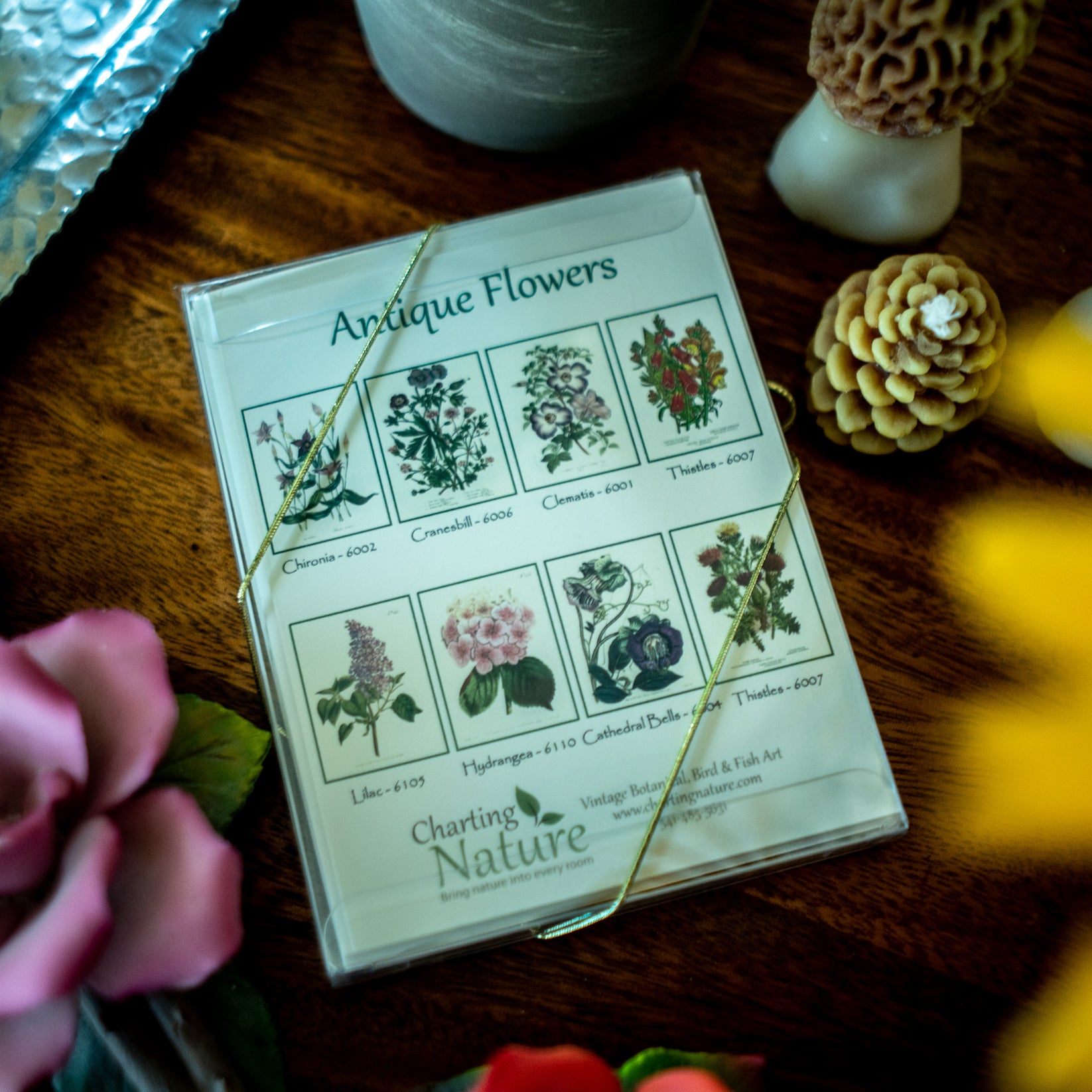 Classic Flower Notecards - Botanical print notecard set – Charting Nature
