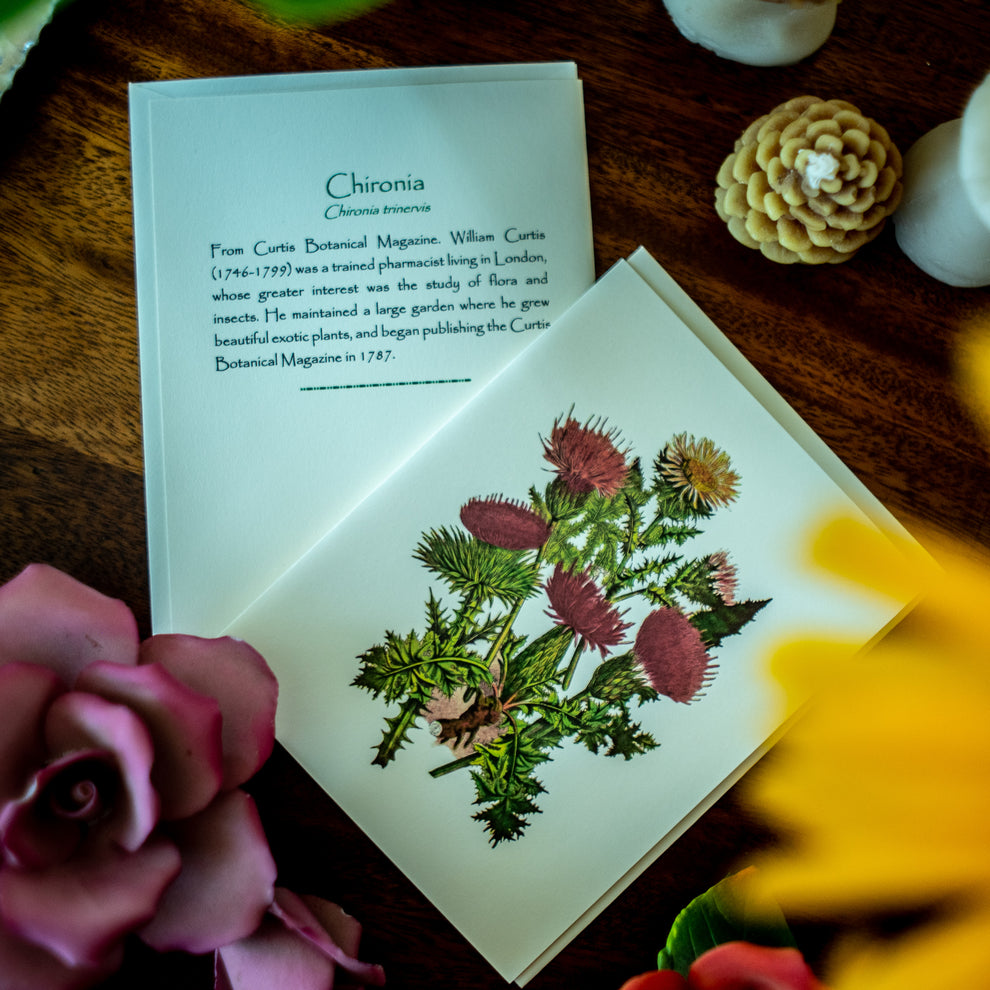 Classic Flower Notecards - Botanical print notecard set – Charting Nature