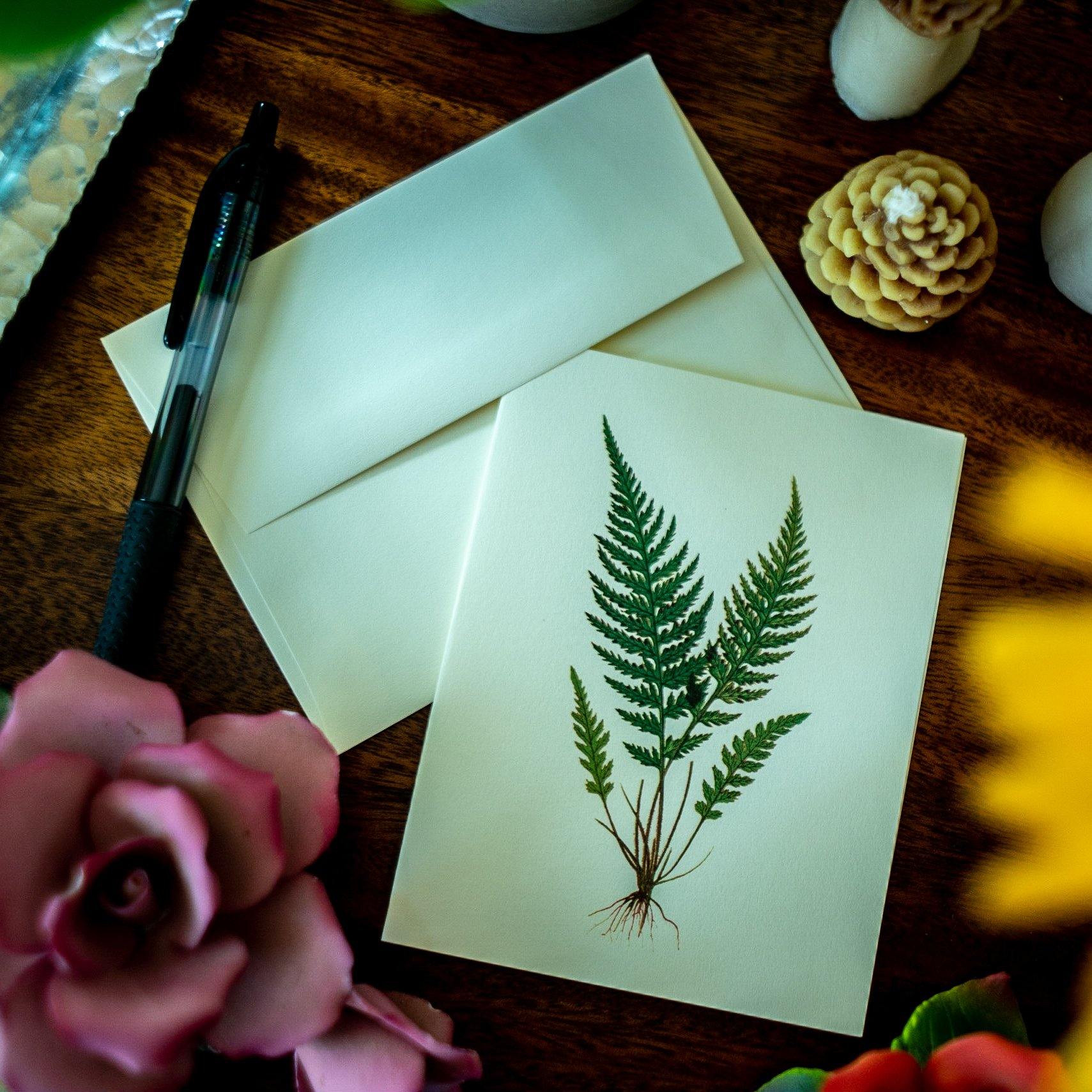 Vintage Fern Notecards - Botanical print notecard set – Charting Nature