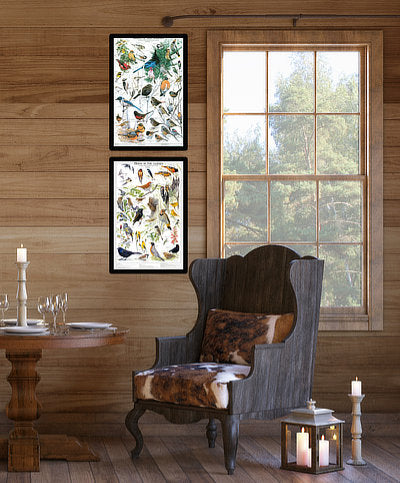 Backyard Garden Bird Identification Poster Set |12"x18 " Eastern Winter ...