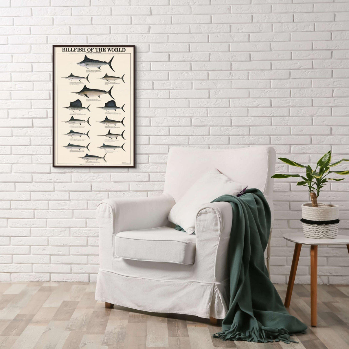 Billfish Fish ID Poster – Global Species Chart for Sport Fishing ...