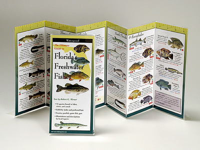Florida's Freshwater Fishes - Folding Guide – Charting Nature
