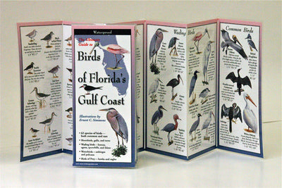 FLORIDA'S GULF COAST BIRDS - FOLDING GUIDE – Charting Nature