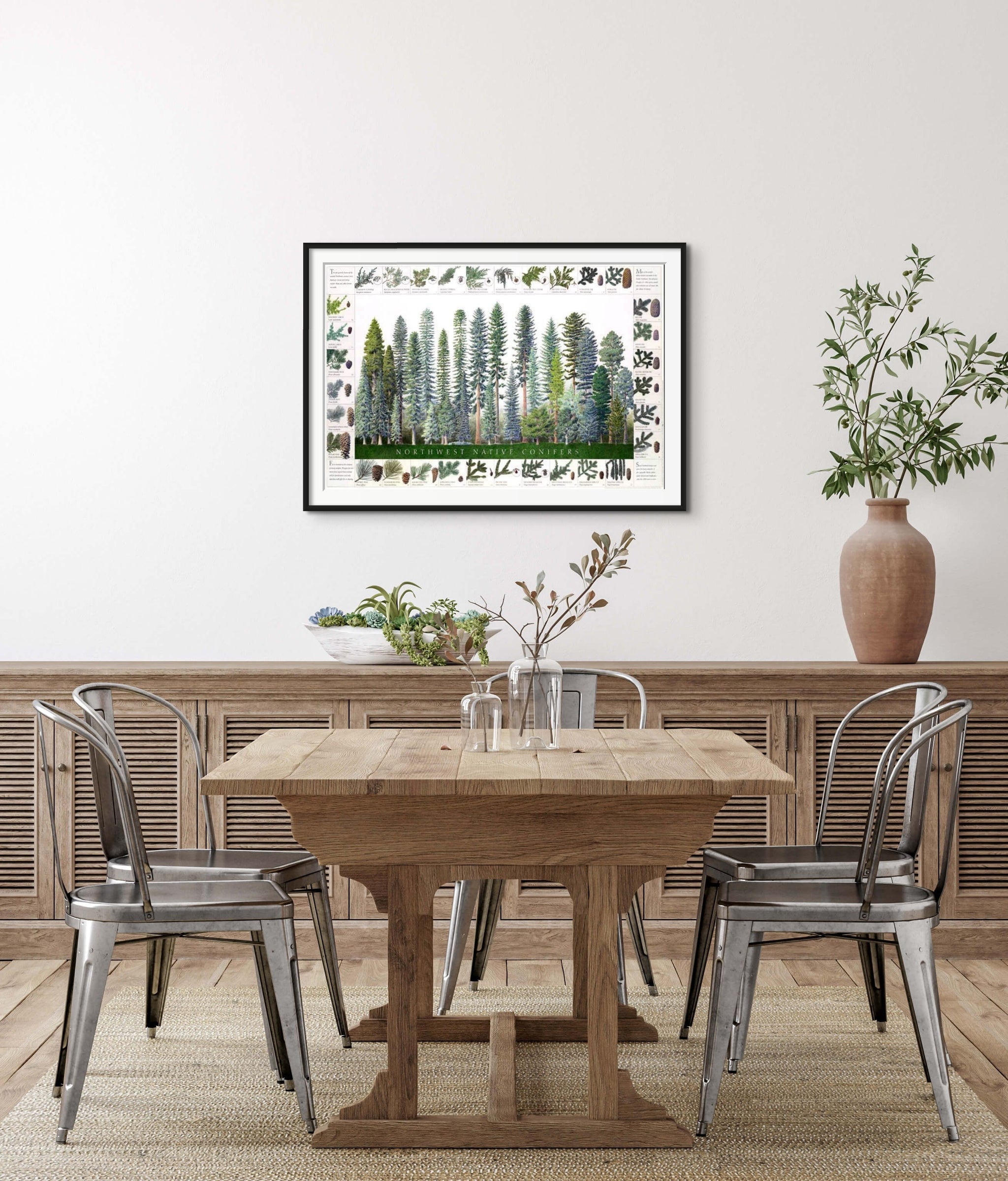 Northwest Native Conifers Poster and Identification Chart (24"x36 ...
