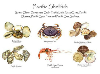 Atlantic Shellfish - Fish and Shellfish Assorted Notecard Set ...